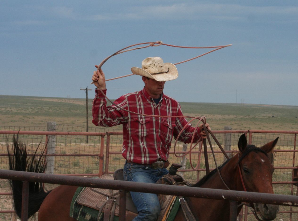 Cowboy Gear: Ropes | Natalie Bright - Author