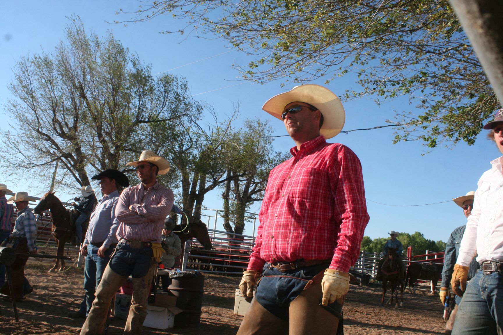 Here’s One for Beef Night | Natalie Bright - Author